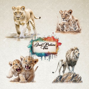 Lion Clipart African Wildlife Kingdom Safari Jungle Adventure ...