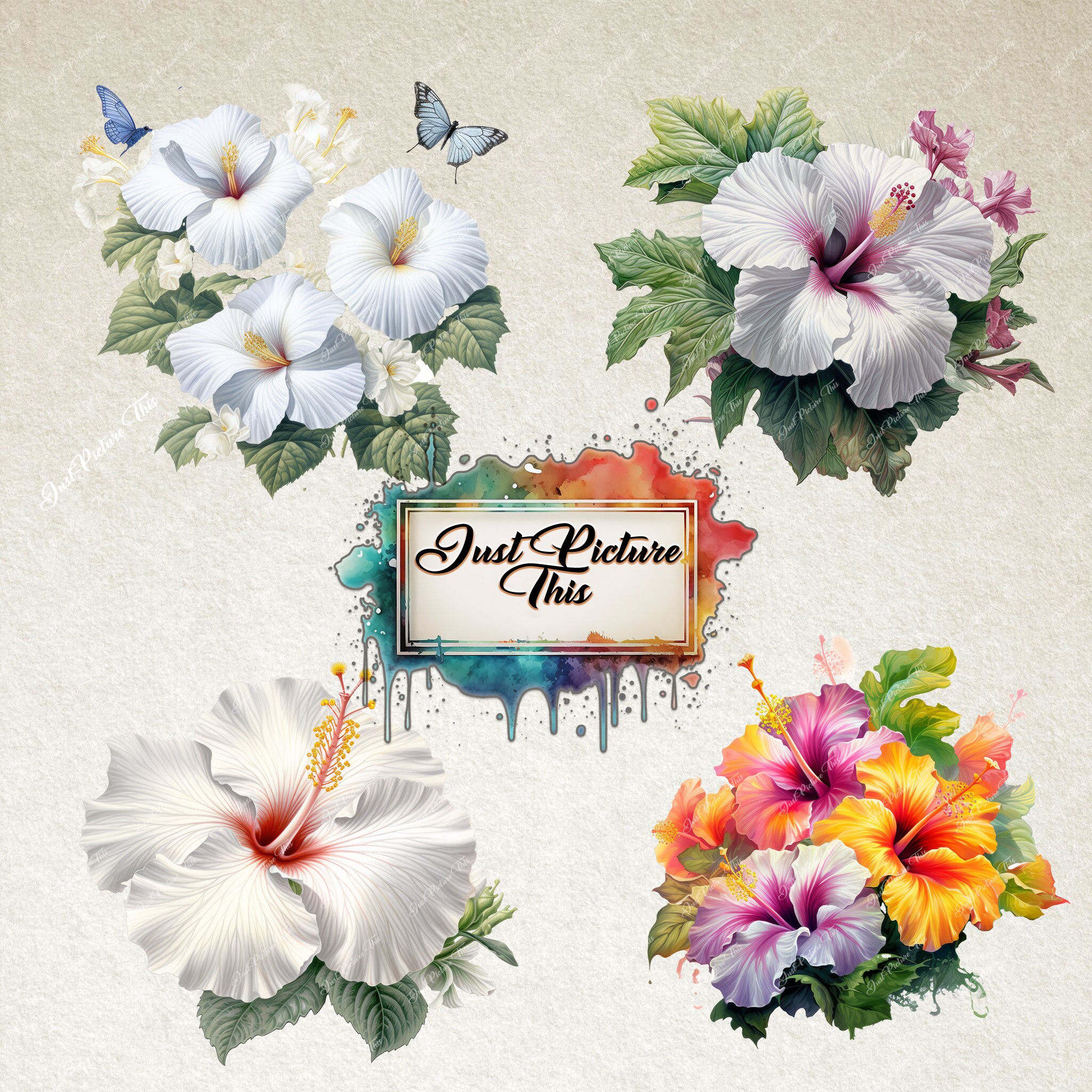 Hibiscus Clipart Tropical Flower Illustrations and Exotic - Etsy