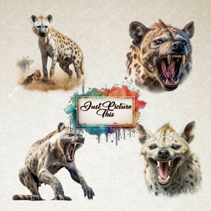 Hyena Clipart Safari Animal Clipart African Wildlife Jungle Safari Zoo ...