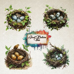 Birds Nest With Eggs Clipart Bundle: Detailed Nest Illustrations for ...