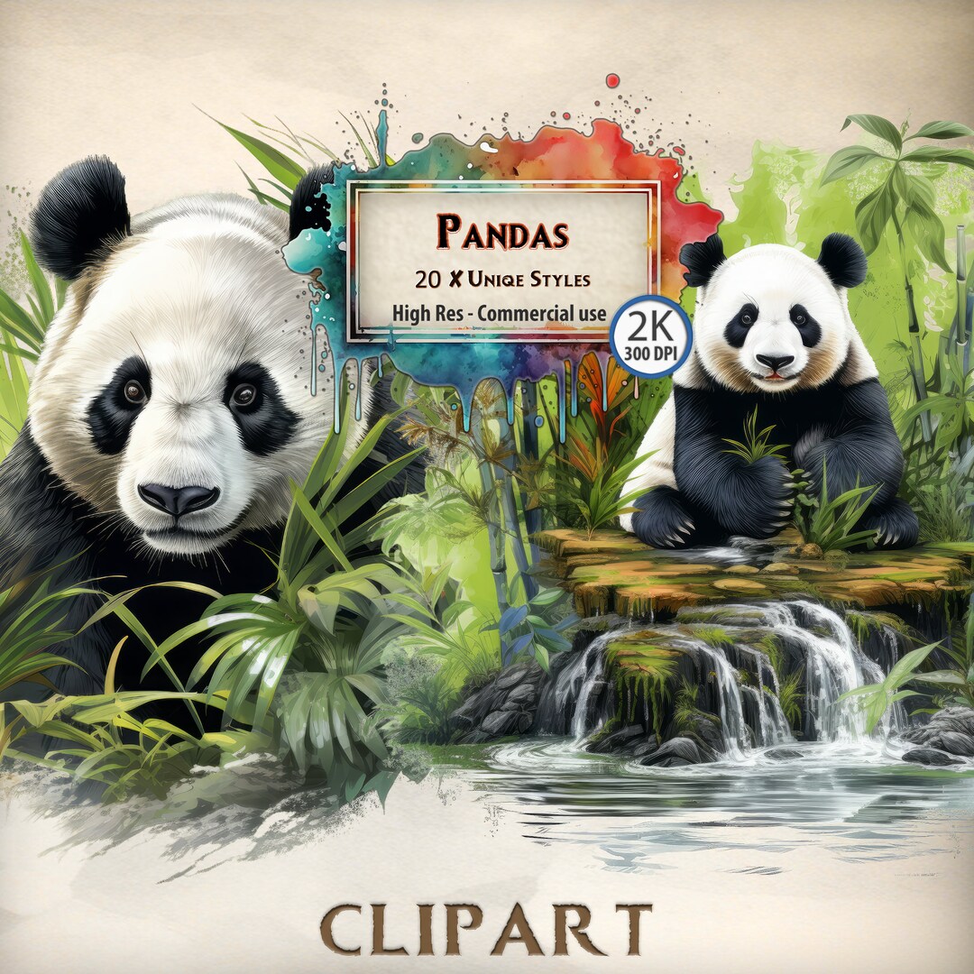 Panda Clipart: Safari Animal Templates - Bamboo Black and White Bear ...