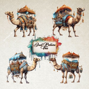 Camel Howdah Clipart: Ancient Egypt & India Theme (PNG Digital Download ...