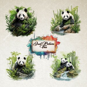 Panda Clipart: Jungle Animal PNG Files (digital Download) - Etsy