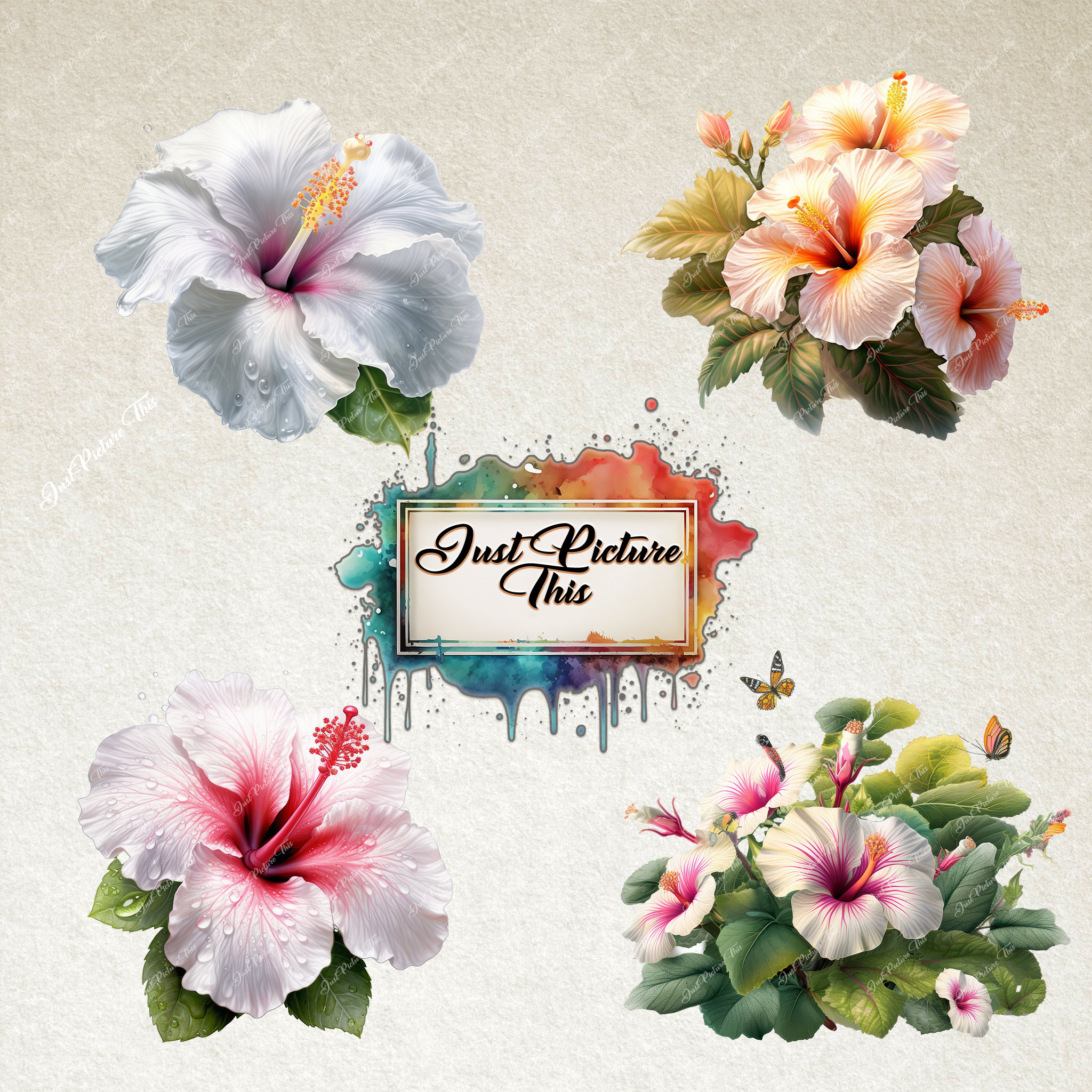 Hibiscus Clipart Tropical Flower Illustrations and Exotic - Etsy