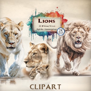 Lion Clipart African Wildlife Kingdom Safari Jungle Adventure ...