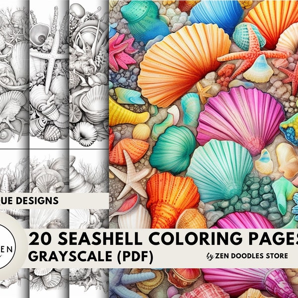 Seashell Coloring Pages - Etsy