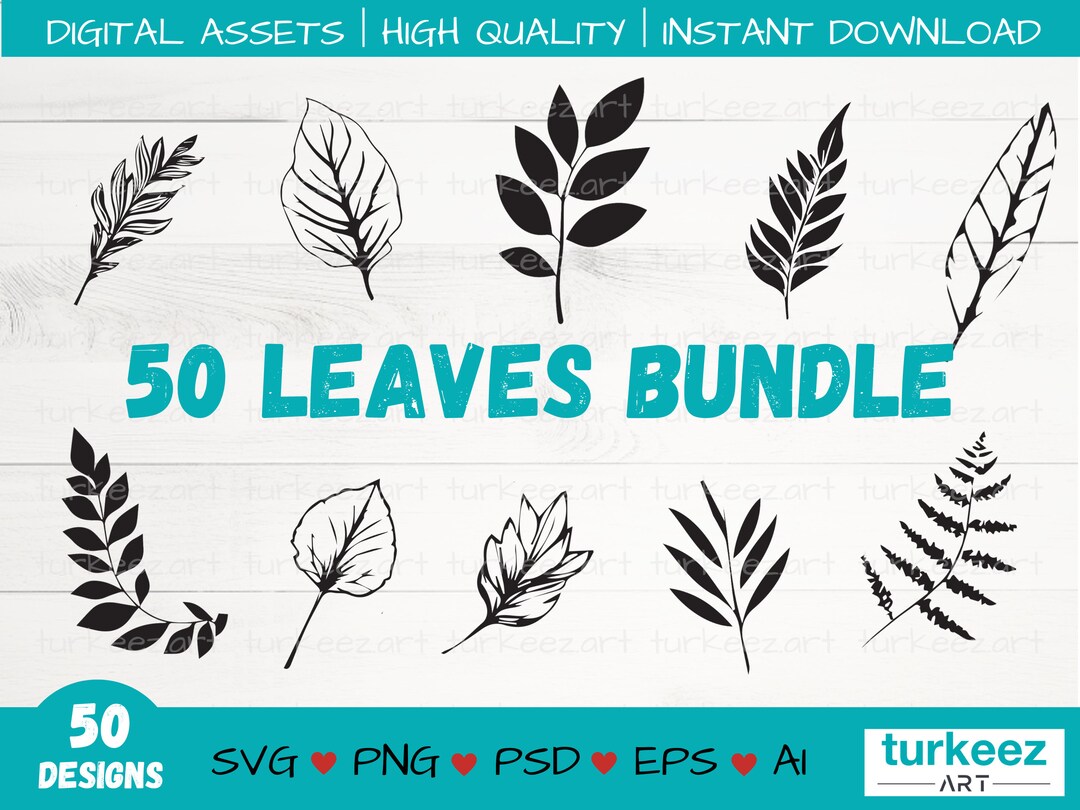 50 Leaves SVG Bundle, Hand Drawn Leaves SVG, Leaves PNG, Paper Leaves ...