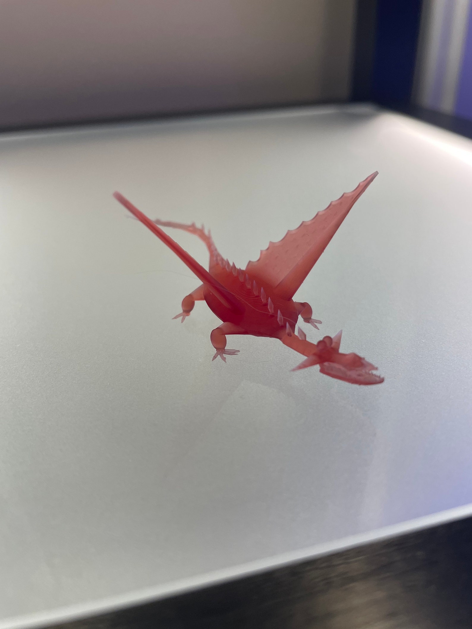 HTTYD Changewing Dragon Egg and Dragon - Etsy