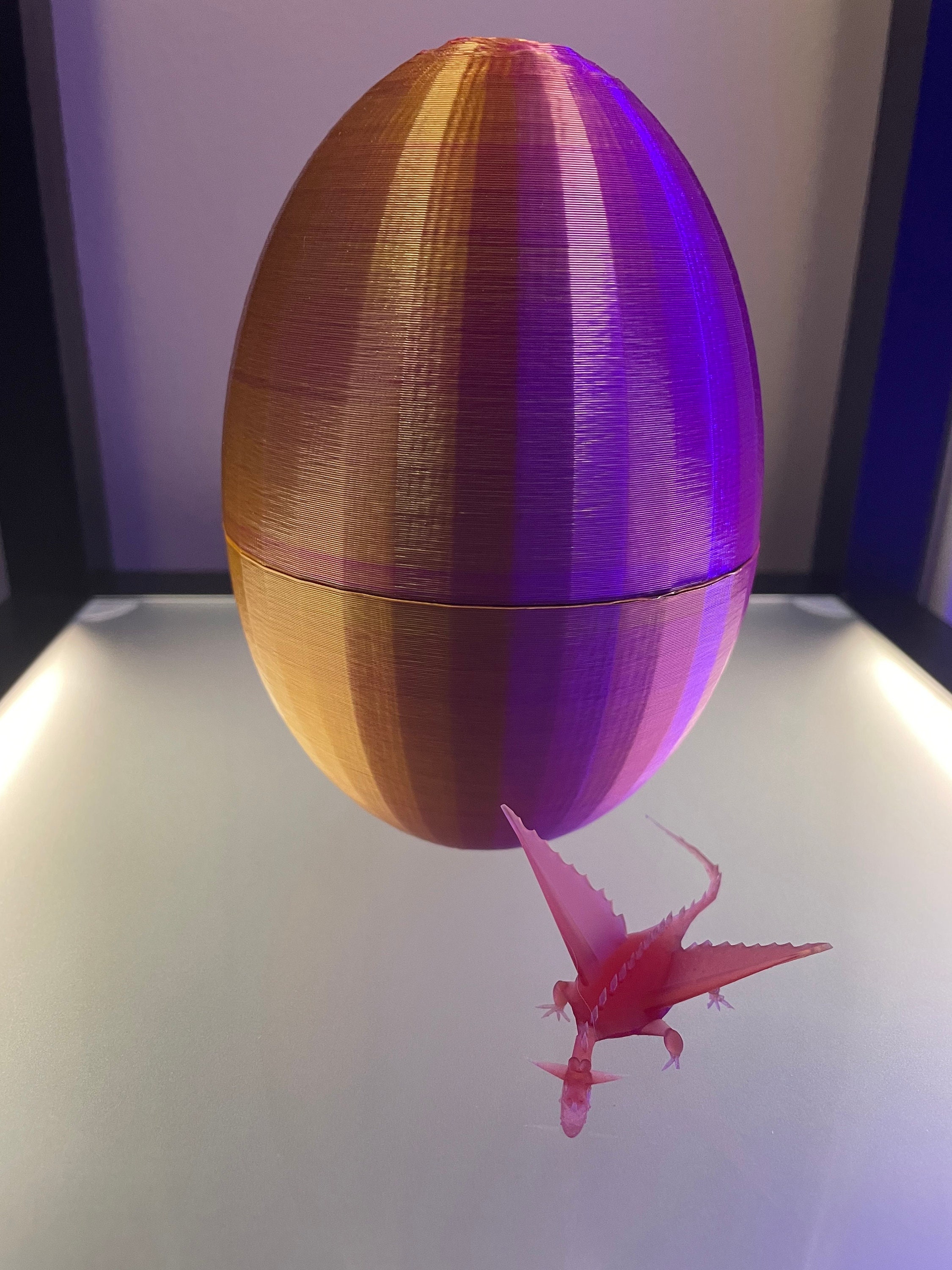 HTTYD Changewing Dragon Egg and Dragon - Etsy