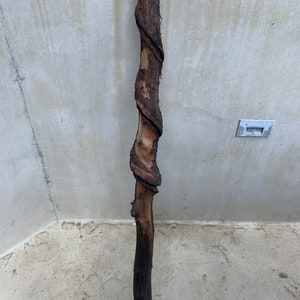 Madrone Spiral, Large - Etsy
