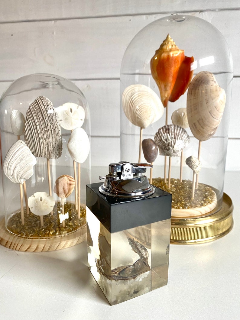 Vintage Lucite Table Lighter With Trapped Seashell and Pearl Smoking ...