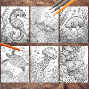 50 Sea Animals Coloring Book | Printable Ocean Creatures | Fun Activity ...
