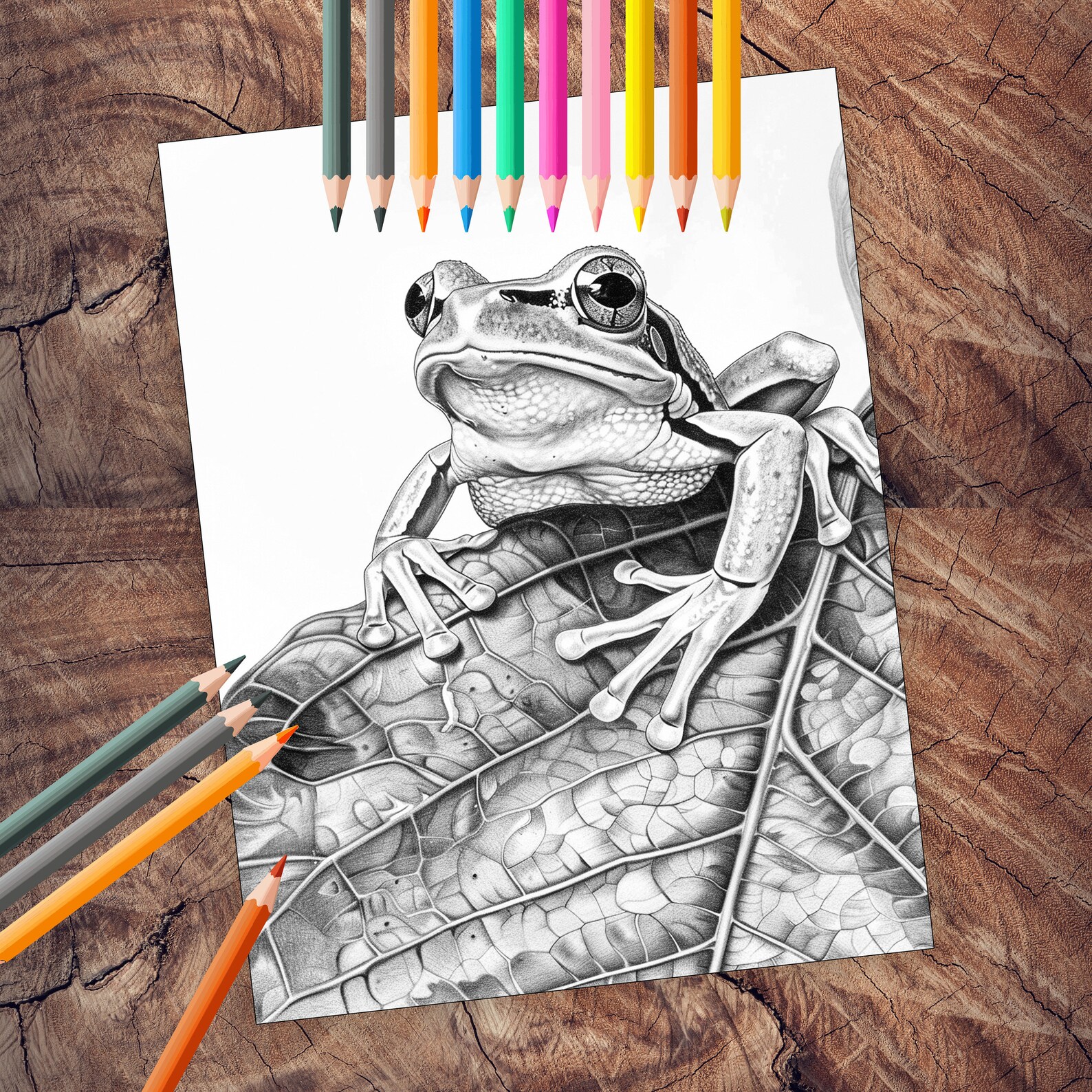 50 Tree Frogs Printable Coloring Pages | All Ages Coloring Books for ...