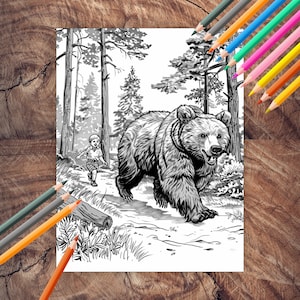 50 Woodland Animal Bear Coloring Pages | Printable PDF for Kids and ...