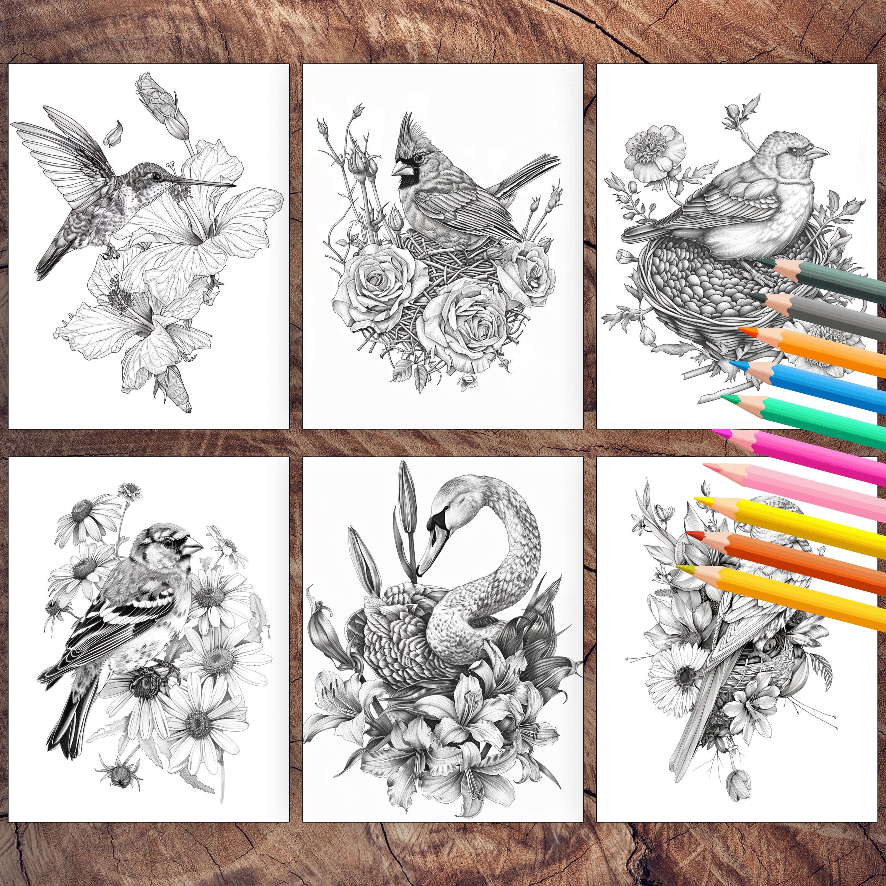 50 Beautiful Birds Coloring Pages | Instant Download Coloring Sheets ...