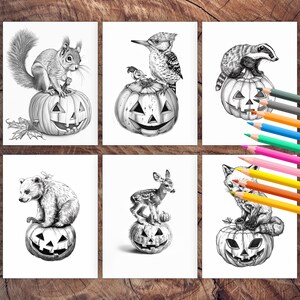 50 Woodland Animals Halloween Coloring Pages | Adults + Kids Instant ...