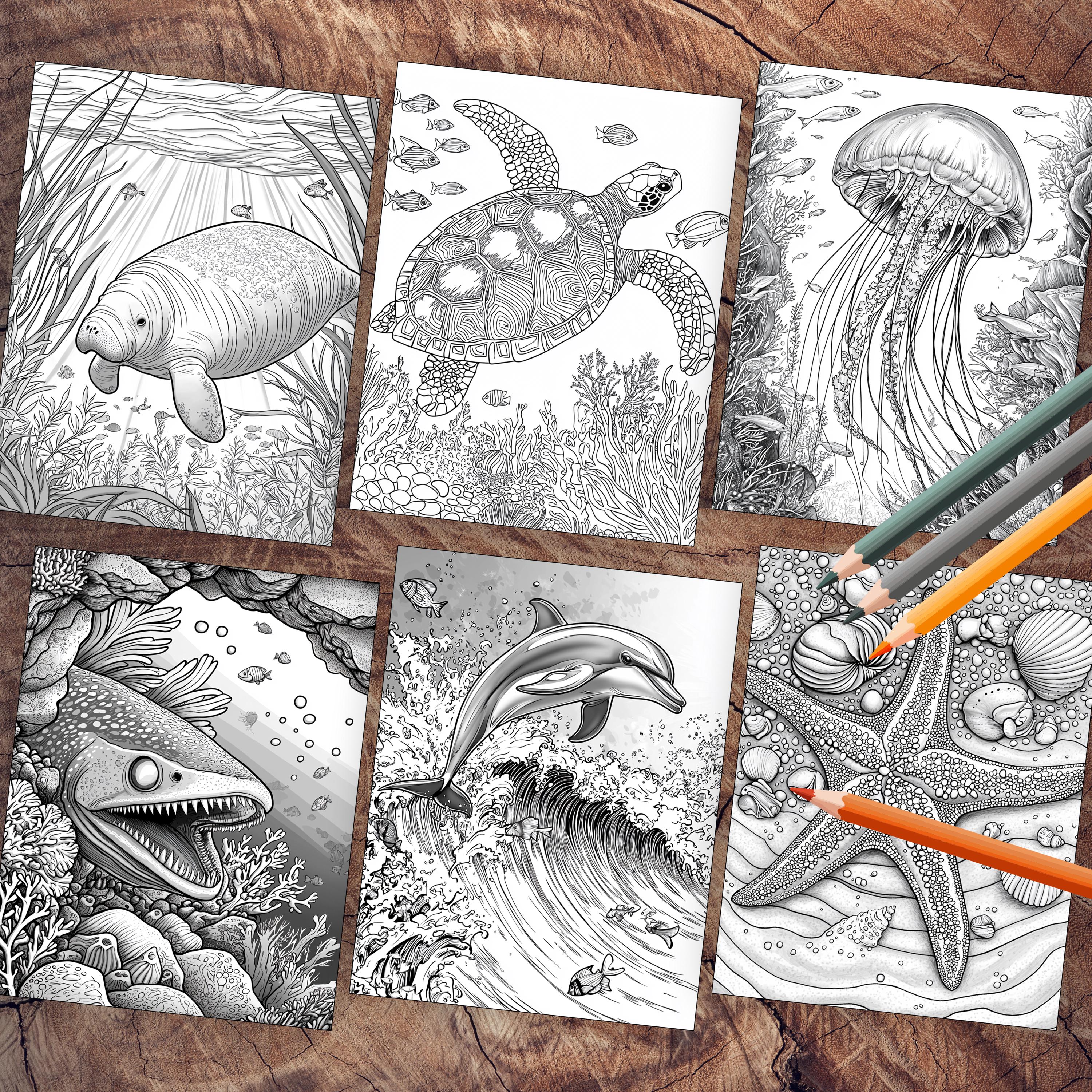50 Sea Animals Coloring Book | Printable Ocean Creatures | Fun Activity ...