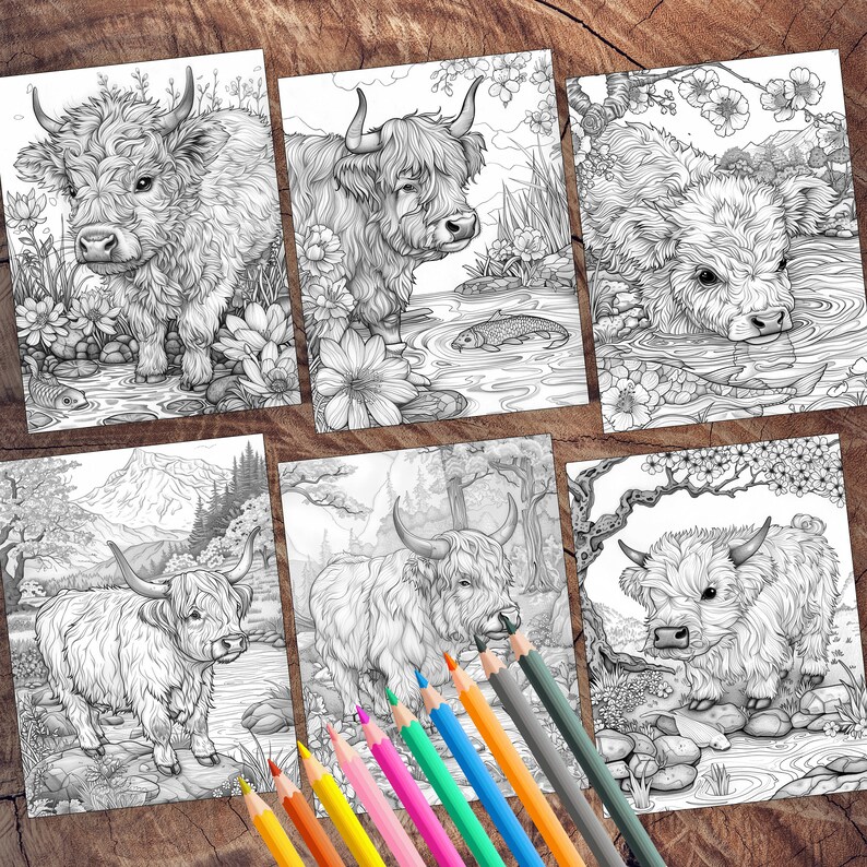 50 Highland Cow Coloring Pages | Bold and Easy Designs | Perfect for ...