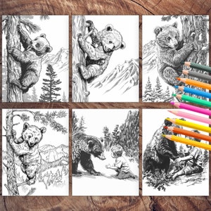 50 Woodland Animal Bear Coloring Pages | Printable PDF for Kids and ...