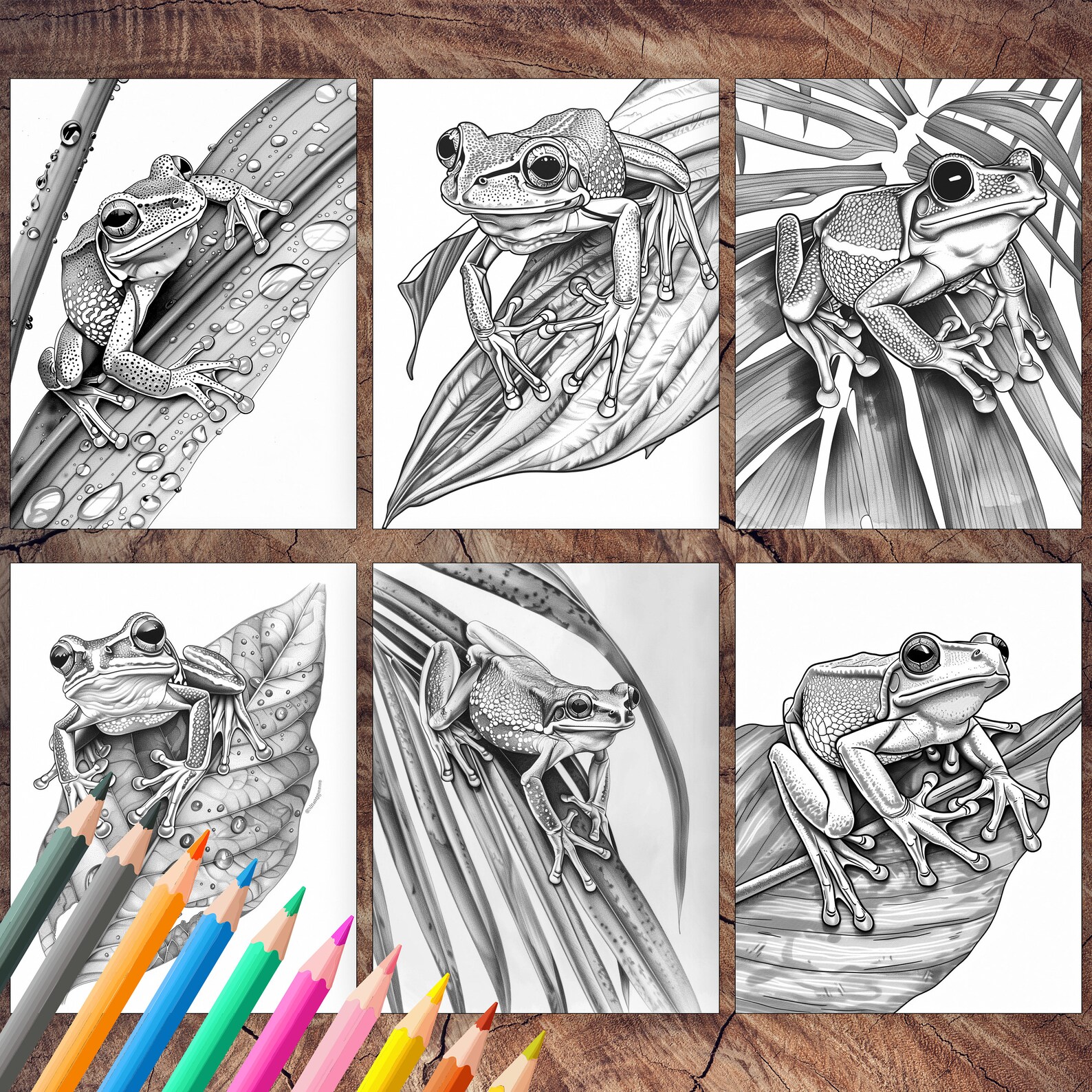 50 Tree Frogs Printable Coloring Pages | All Ages Coloring Books for ...