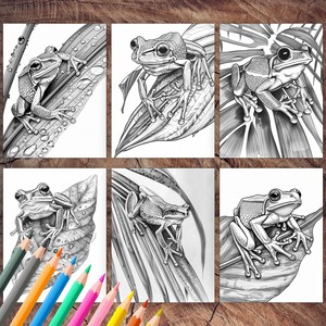 50 Tree Frogs Printable Coloring Pages | All Ages Coloring Books for ...