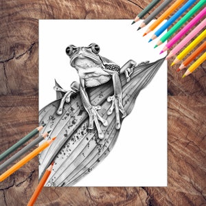 50 Tree Frogs Printable Coloring Pages | All Ages Coloring Books for ...