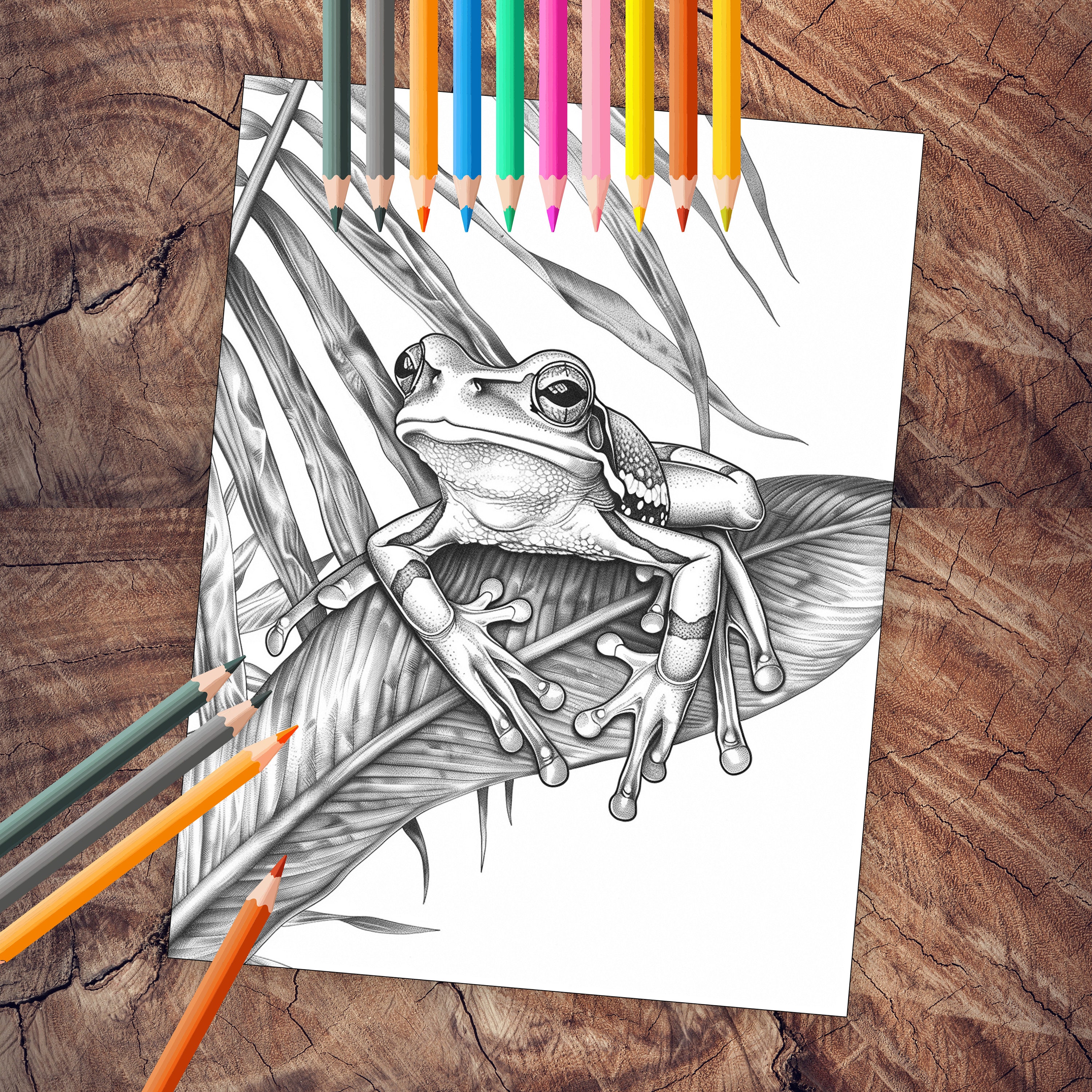 50 Tree Frogs Printable Coloring Pages | All Ages Coloring Books for ...