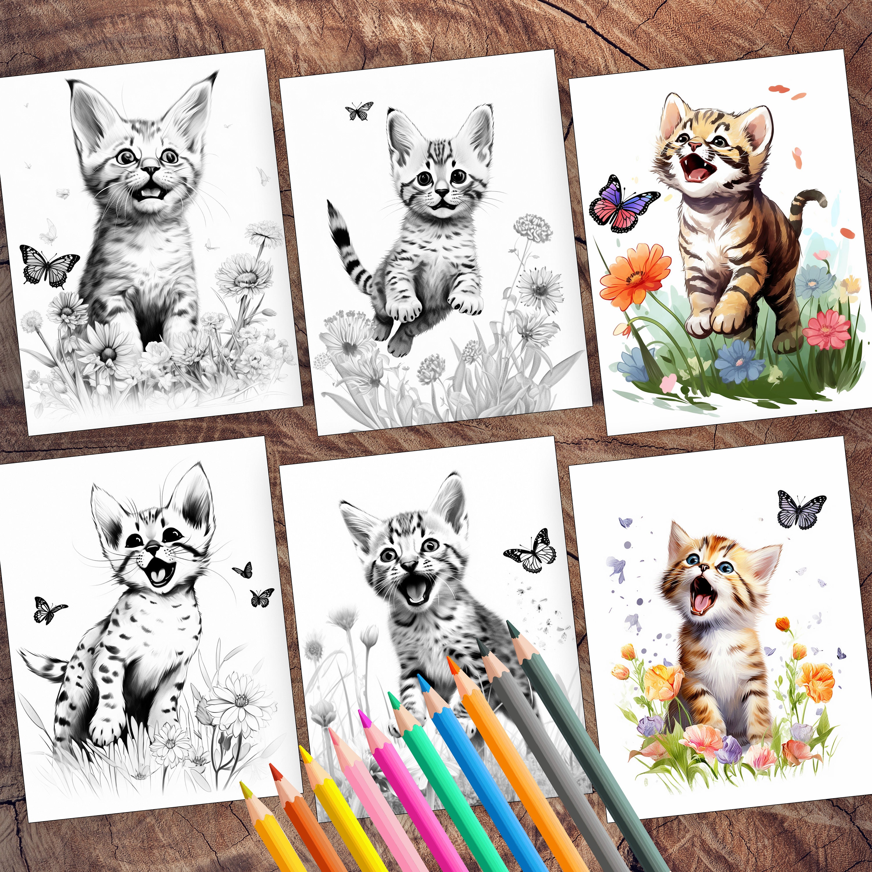 60 Printable Cat Coloring Pages - Fun Activity for Kids & Adults ...