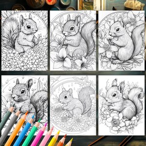50 Woodland Squirrel Mandala Coloring Pages | Adults + Kids Instant ...