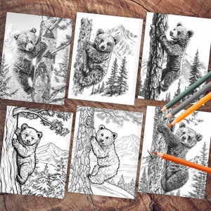 50 Woodland Animal Bear Coloring Pages | Printable PDF for Kids and ...