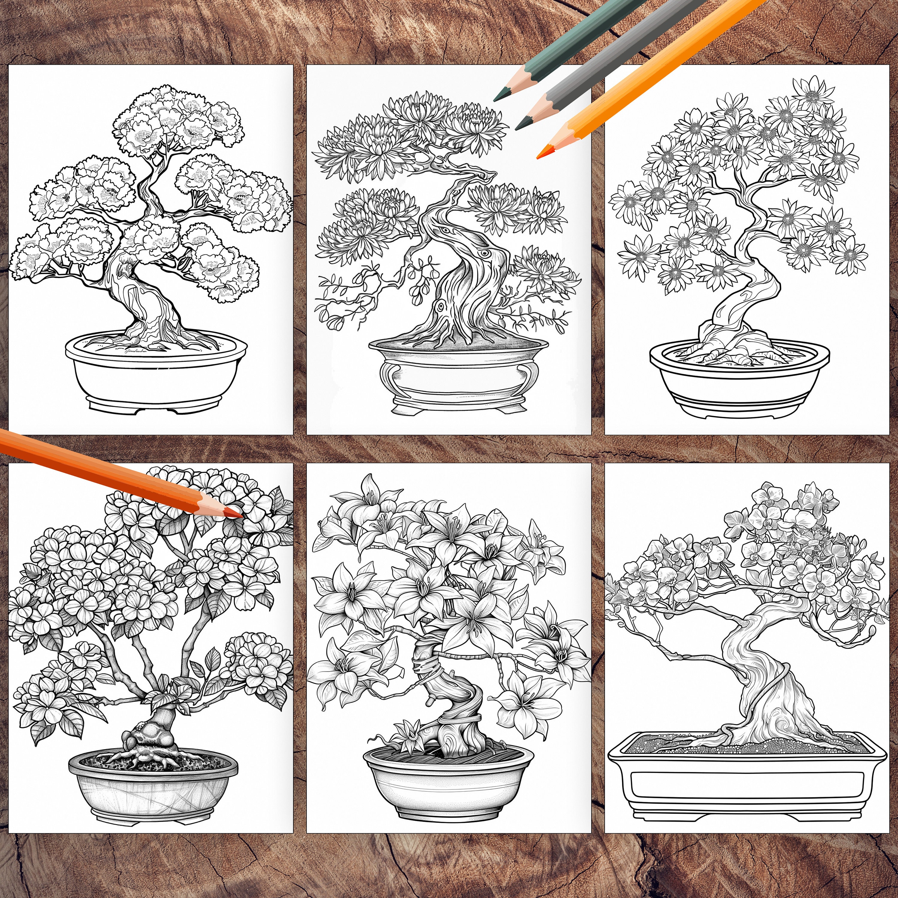 50 Bonsai Trees Coloring Pages | Botanical Coloring | Fantasy Flower ...