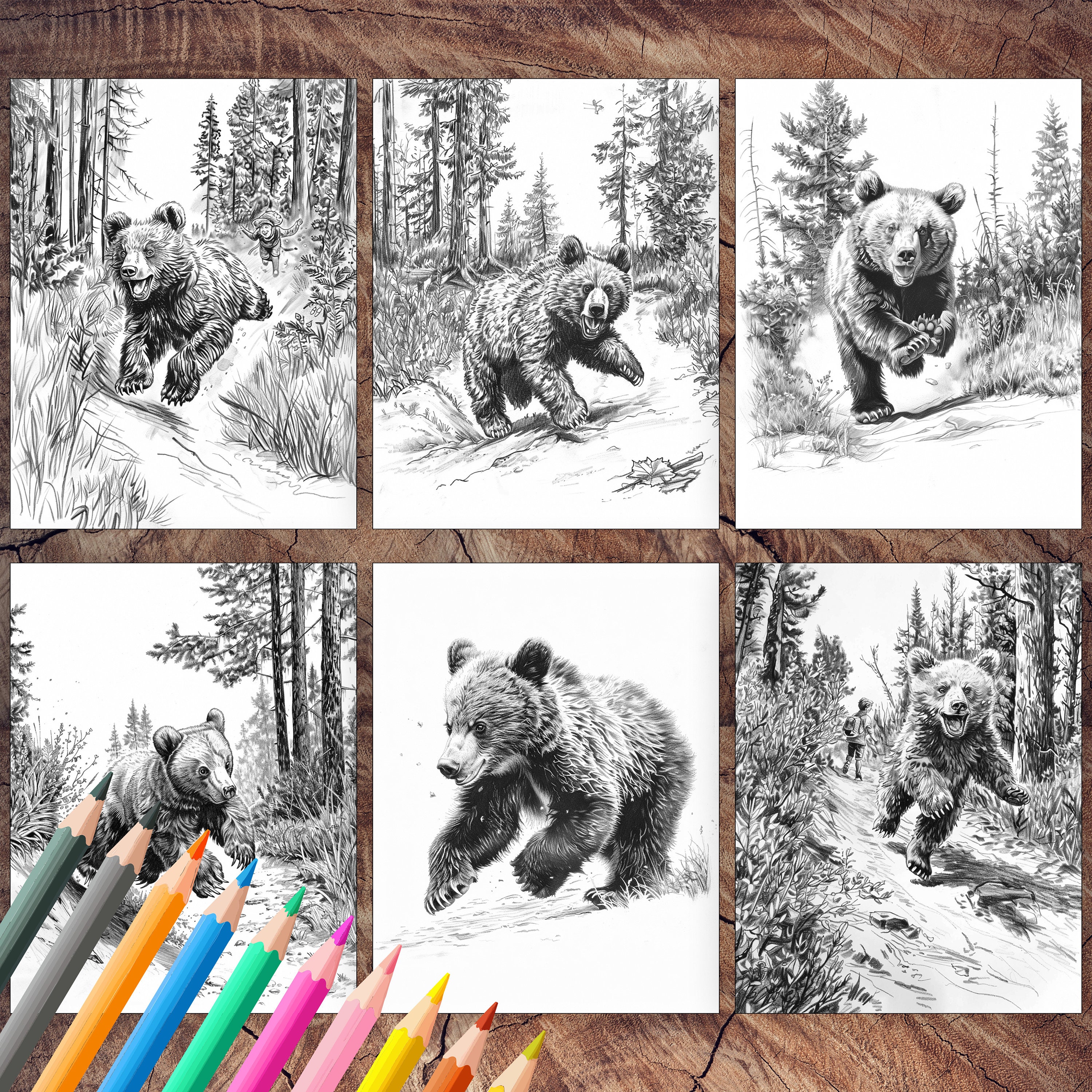 50 Woodland Animal Bear Coloring Pages | Printable PDF for Kids and ...