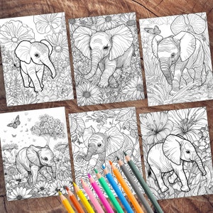 50 Baby Elephant Coloring Pages | Safari Jungle Floral Coloring Book ...