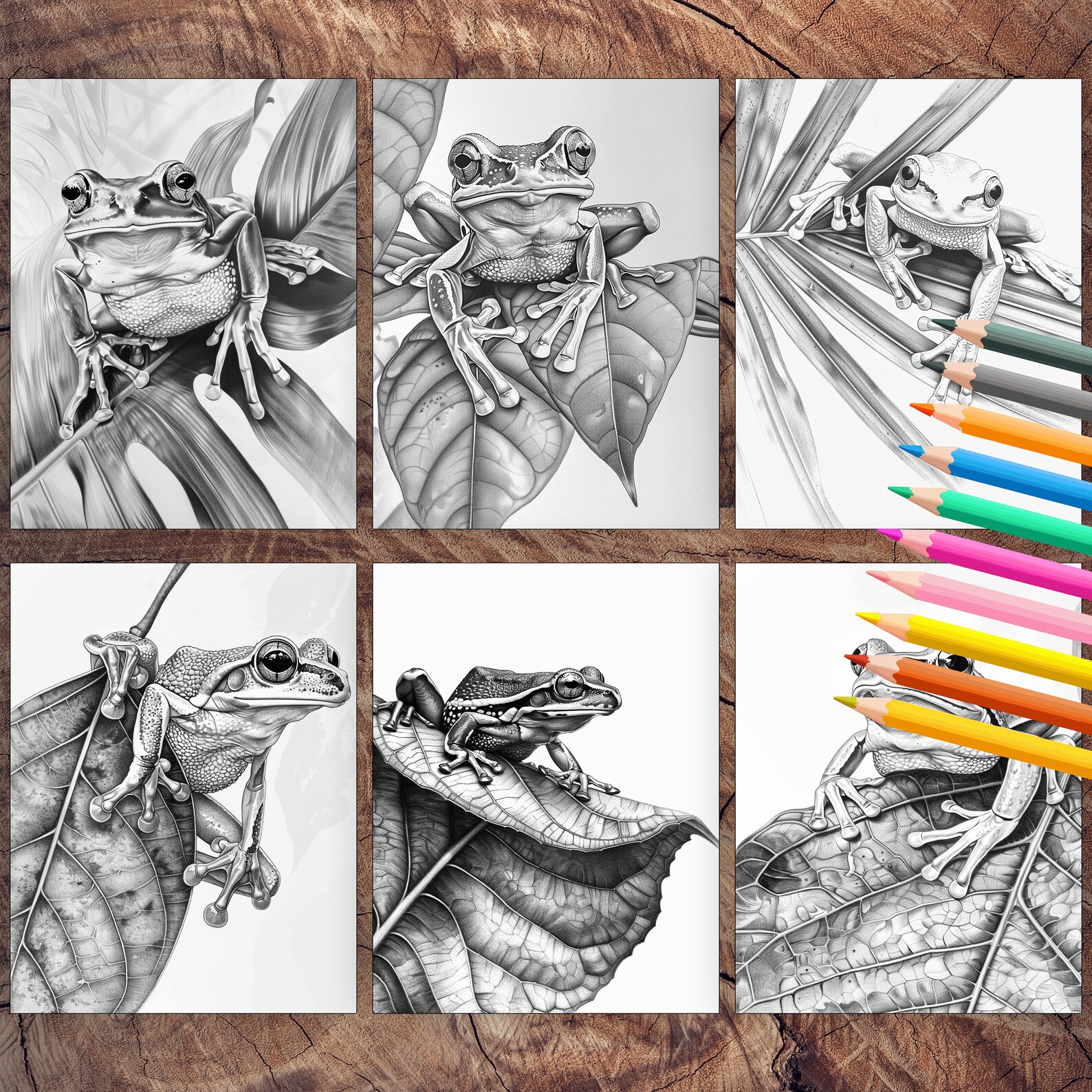 50 Tree Frogs Printable Coloring Pages | All Ages Coloring Books for ...