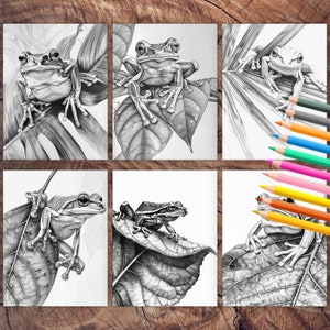50 Tree Frogs Printable Coloring Pages | All Ages Coloring Books for ...