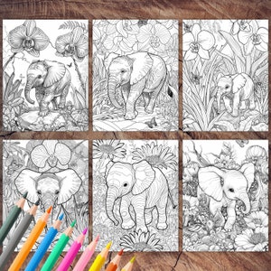 50 Baby Elephant Coloring Pages | Safari Jungle Floral Coloring Book ...