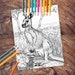 50 Wild Animals Coloring Pages Safari Jungle Coloring Page Adult Kids ...