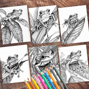 50 Tree Frogs Printable Coloring Pages | All Ages Coloring Books for ...