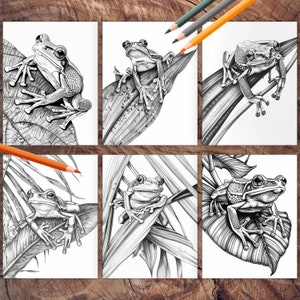 50 Tree Frogs Printable Coloring Pages | All Ages Coloring Books for ...