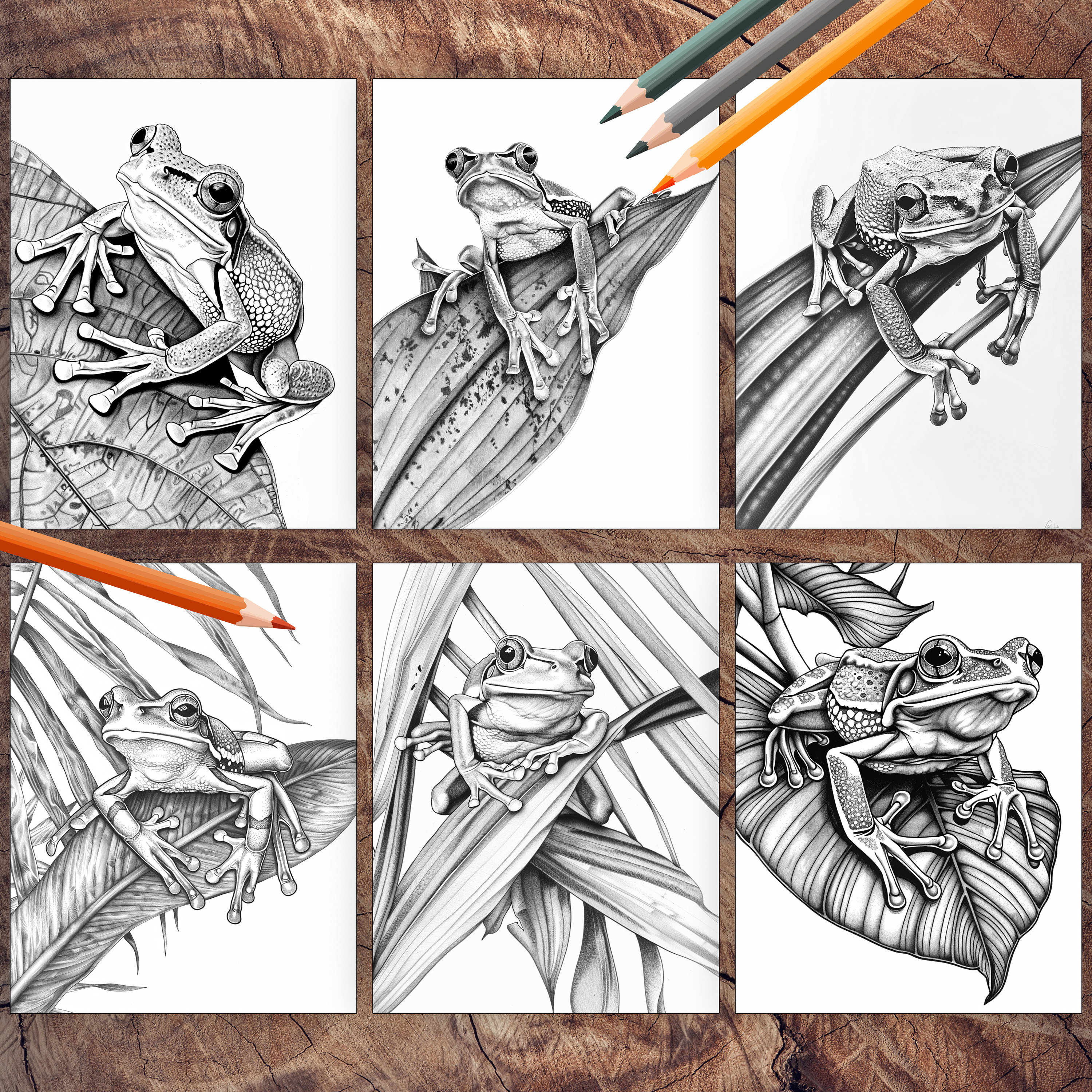 50 Tree Frogs Printable Coloring Pages | All Ages Coloring Books for ...