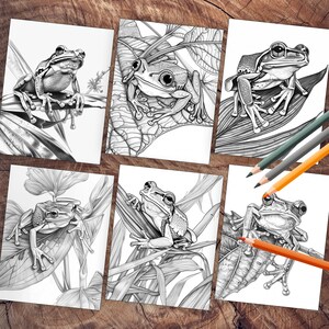 50 Tree Frogs Printable Coloring Pages | All Ages Coloring Books for ...