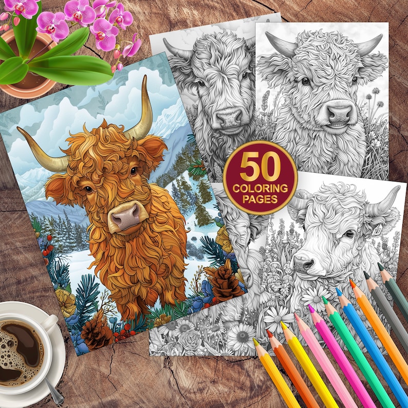 50 Cute Highland Cow Coloring Pages - Fun Activity for Kids and Adults ...