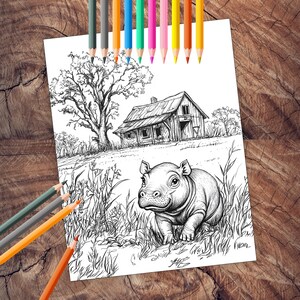 50 Adorable Baby Hippo Coloring Pages | Printable Art for Adults + Kids ...