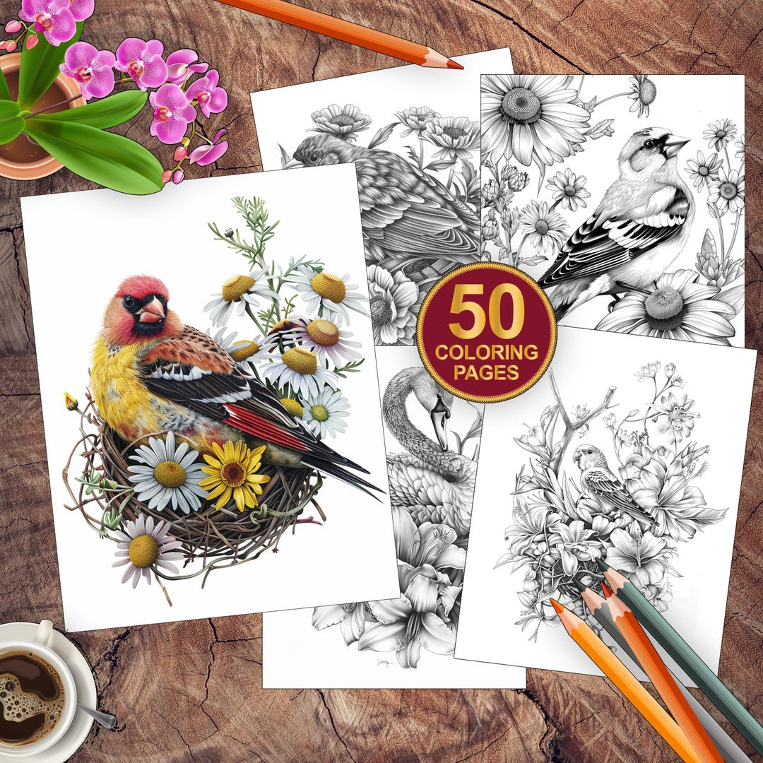 50 Beautiful Birds Coloring Pages | Instant Download Coloring Sheets ...