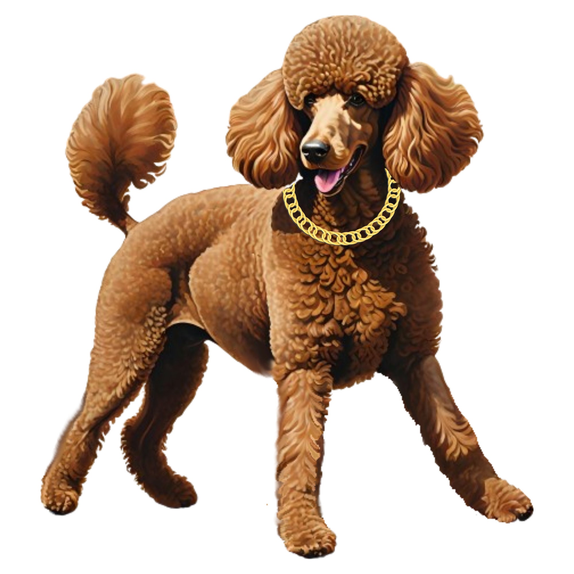 Standard Poodle Clipart Bundle - Etsy