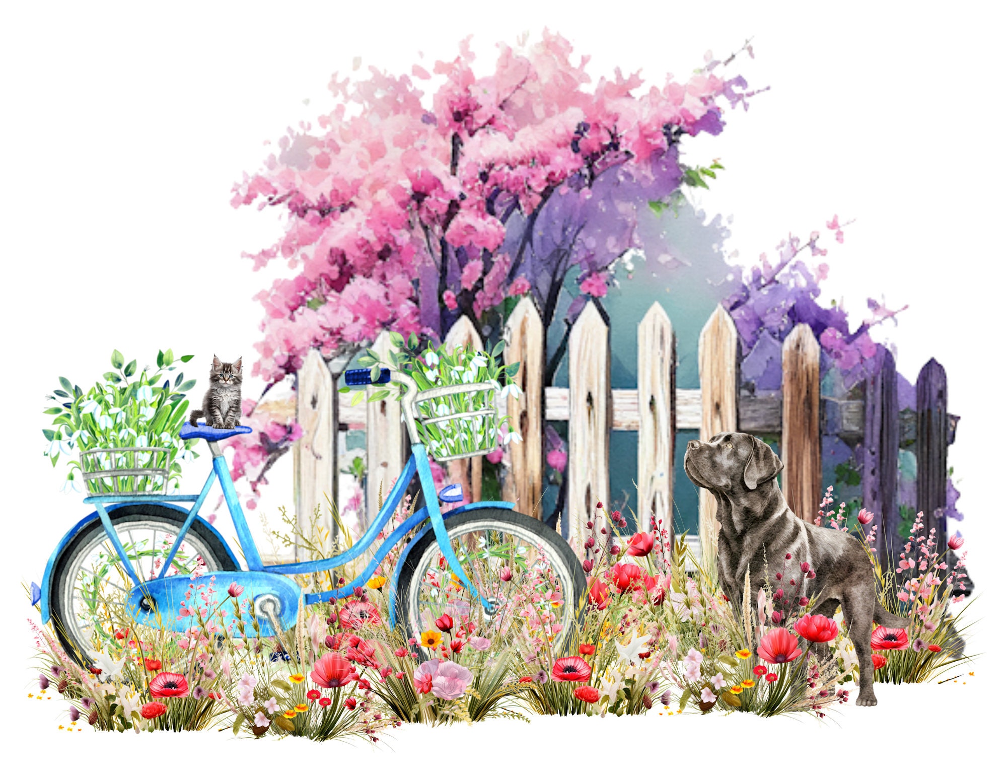 Colorful Digital Spring Images for DIY Projects - Etsy