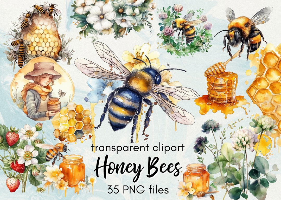 Watercolor Honey Bee Transparent PNG Clipart Bundle, Spring Flowers ...