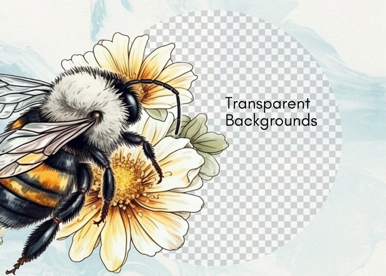 Watercolor Honey Bee Transparent PNG Clipart Bundle Spring - Etsy