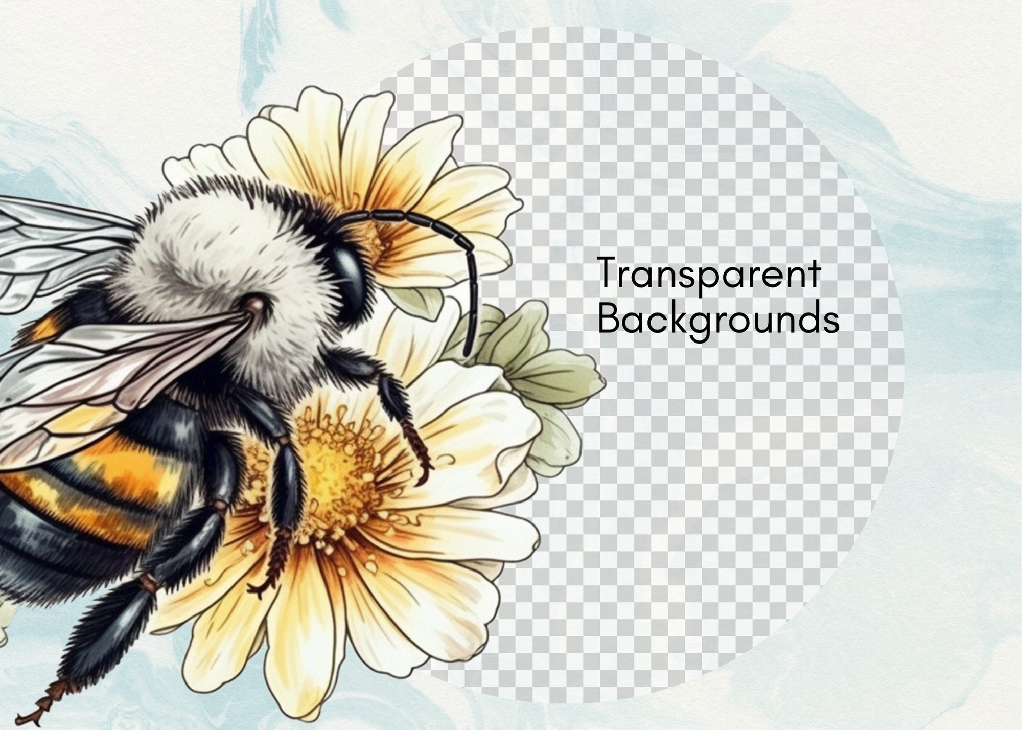 Watercolor Honey Bee Transparent PNG Clipart Bundle Spring - Etsy