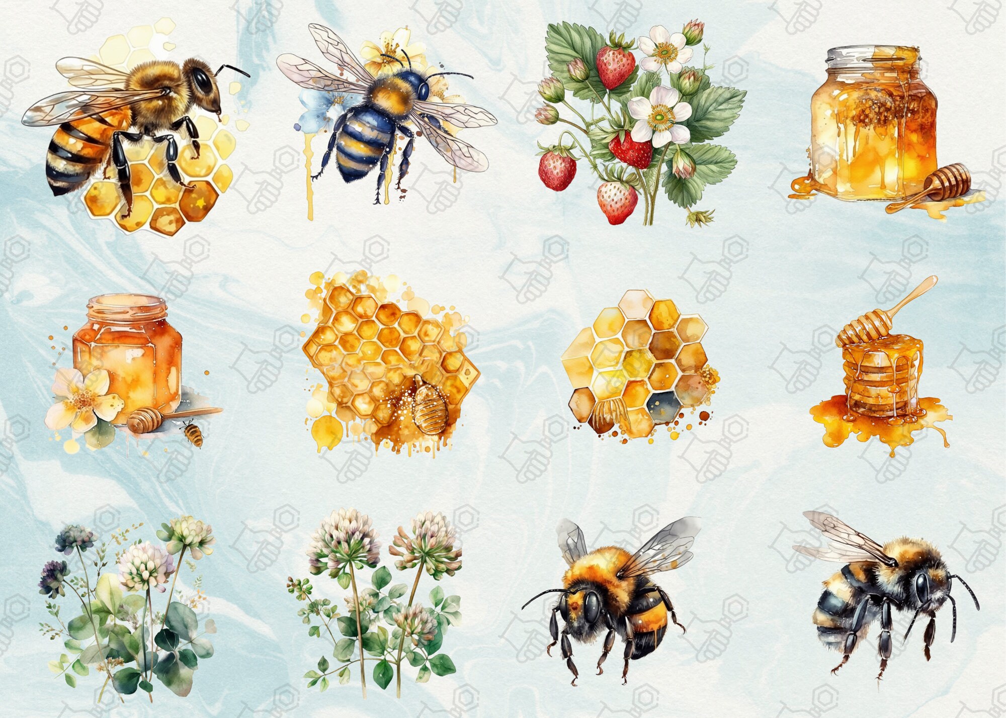 Watercolor Honey Bee Transparent PNG Clipart Bundle Spring - Etsy